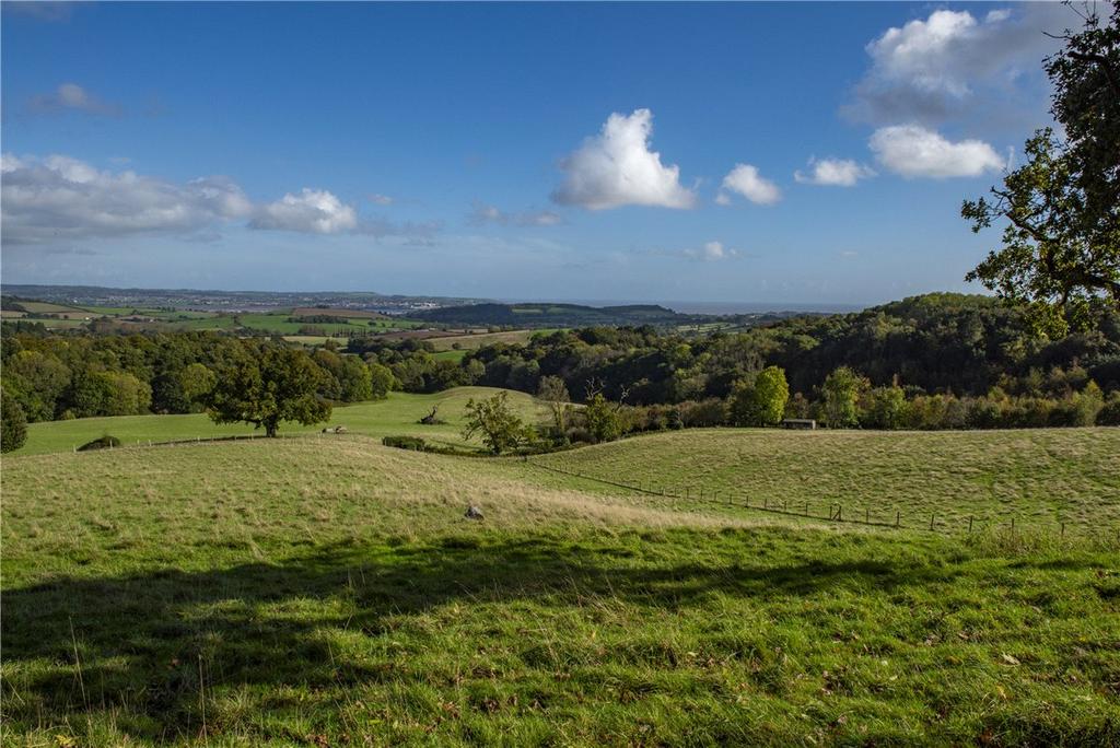 Land At Mamhead Park, Mamhead... Land for sale - £275,000