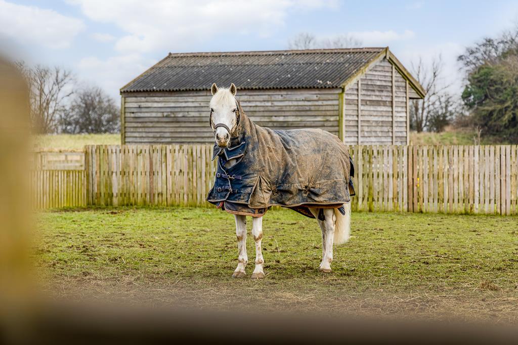 Cut End Road, Fishtoft Equestrian property for sale - £250,000