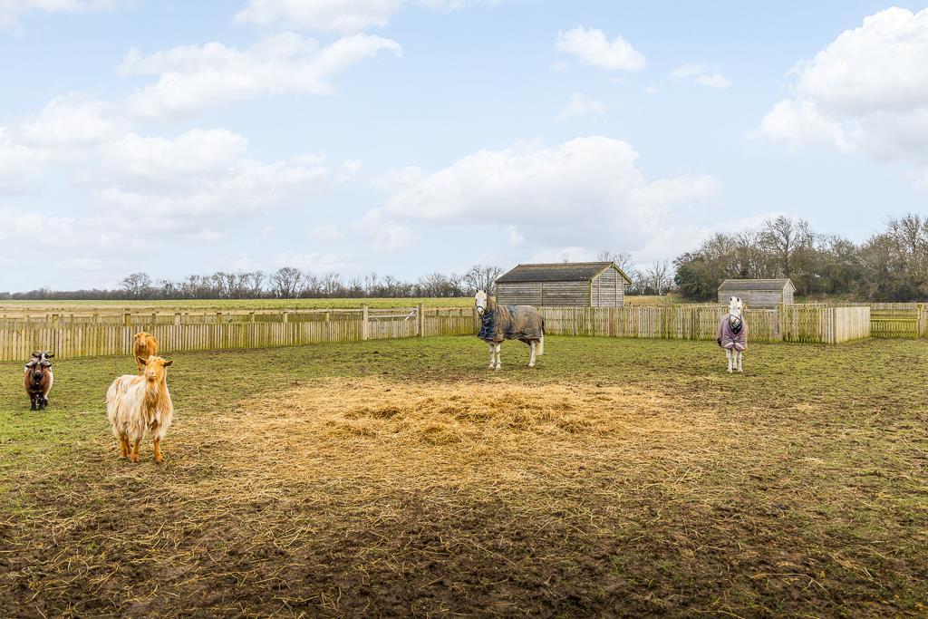 Cut End Road, Fishtoft Equestrian property for sale - £250,000