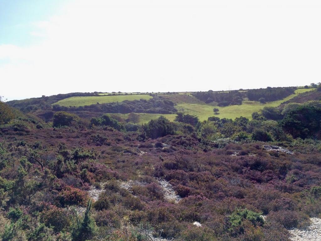 Wheal Ellen Mine, Truro, TR4 Land for sale - £38,000