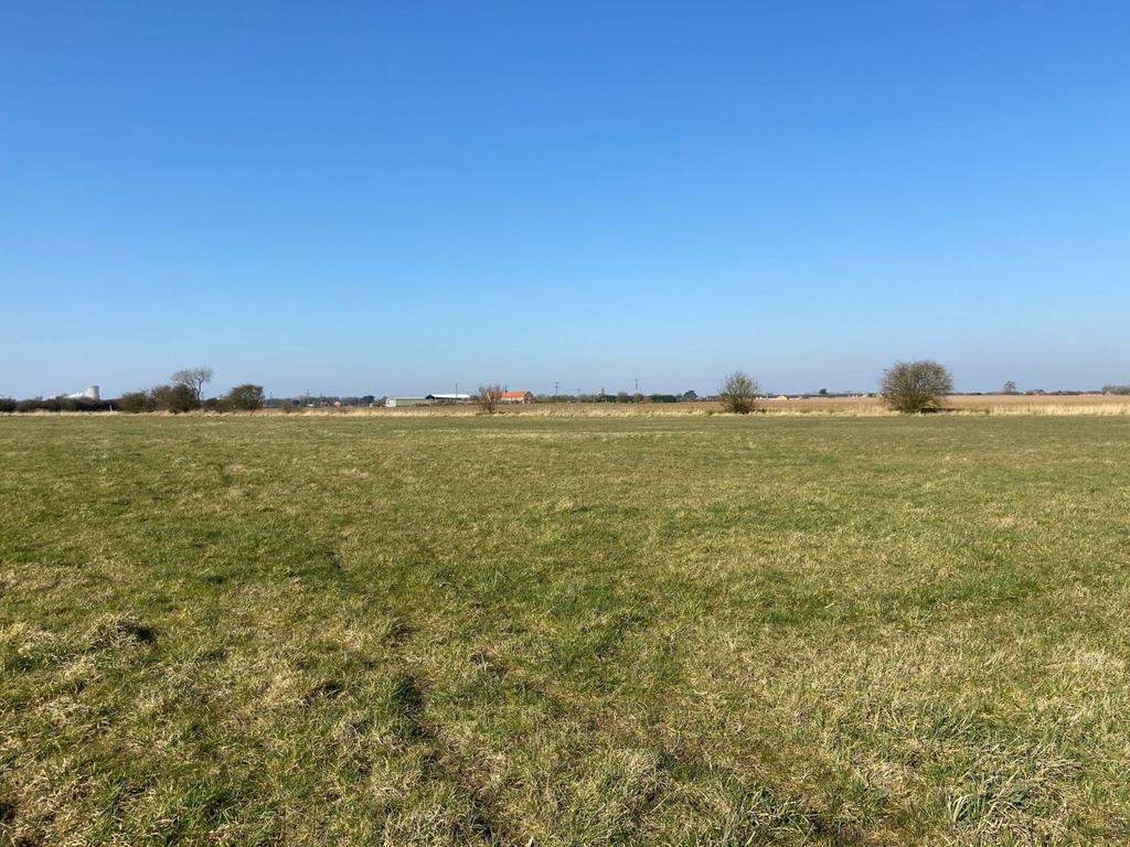 Thorngumbald, Nr Hull Farm land