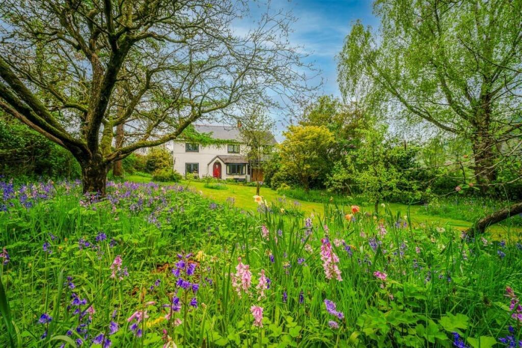 Meifod, Powys, SY22 4 bed detached house for sale - £495,000