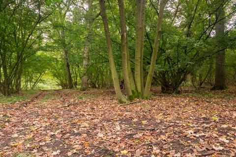 Land For Sale In Essex | OnTheMarket