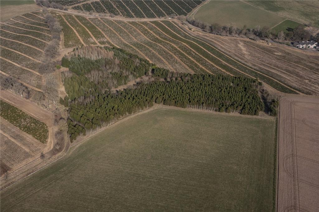 Crow Road Wood, Lundie, By Dundee, DD2 Land - £35,000