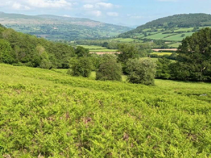 Bwlch, Brecon, Powys. Land for sale - £50,000