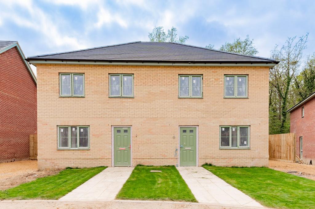 Thomas Bole Close, Diss IP22 3 bed semi-detached house for sale - £335,000