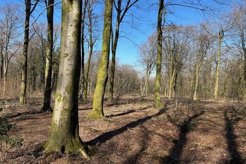 Farms & Land For Sale In Somerset | OnTheMarket