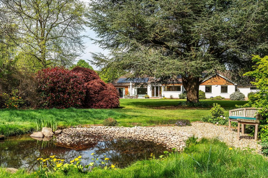 Primrose Way, Bramley, Guildford... 4 bed detached house for sale - £ ...