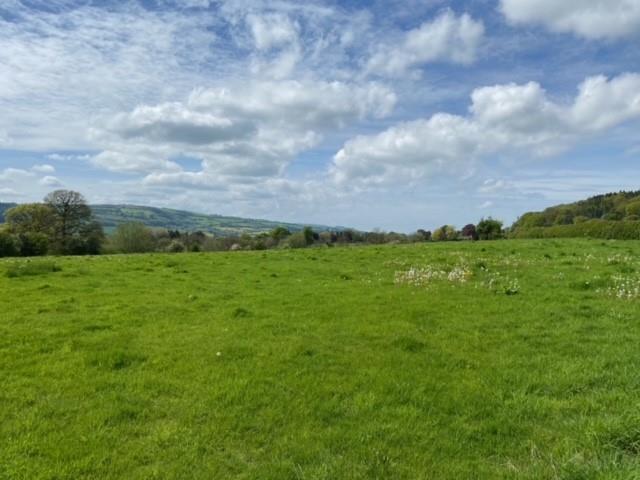 Lydham, Bishops Castle Land for sale - Sale by tender