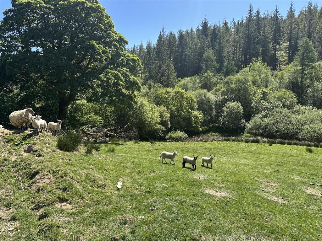 Rhydcymerau, Llandeilo Farm land for sale - £30,000