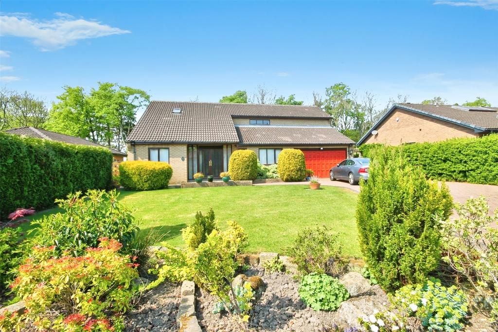 Forest Drive, Washington, Sunderland... 5 bed detached house - £450,000