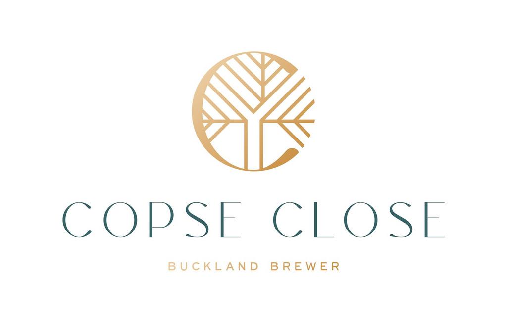 Copse Close, Buckland Brewer 3 bed detached house for sale - £340,000