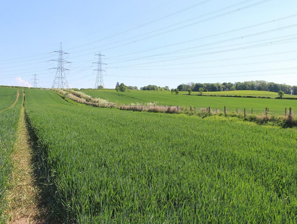 Stodday, Lancaster, LA2 Farm land - £830,000