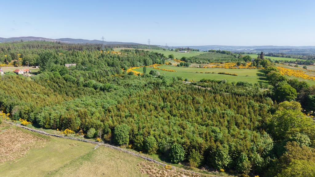 Fanellan Wood, Near Beauly... Woodland for sale - £75,000
