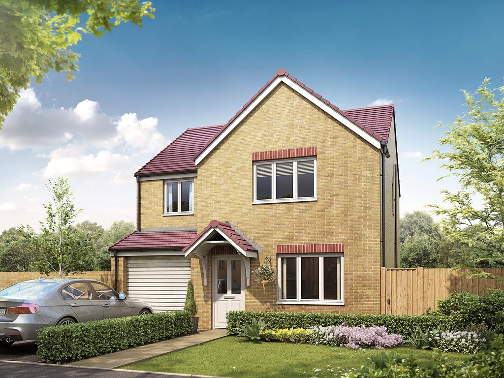 Plot 258, The Roseberry at Persimmon... 4 bed detached house for sale ...