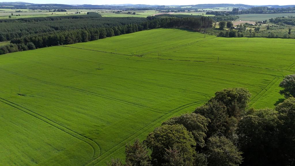Sauchen AB51 Farm land for sale - £280,000