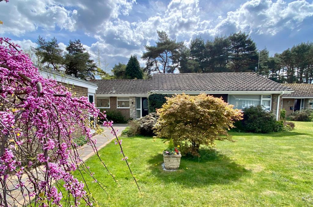 Shelley Close, Ashley Heath, BH24 2JA 3 bed bungalow for sale - £665,000