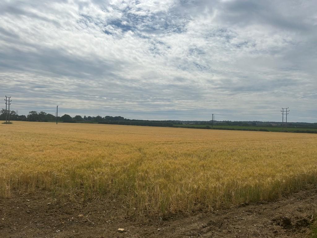 Land At, Manor Court Farm, Westwood... Land to rent