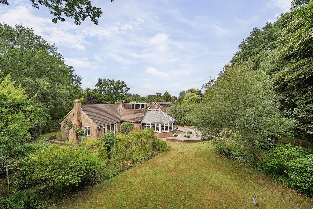 Beech Lane, Normandy, Guildford, GU3 5 bed bungalow for sale - £900,000