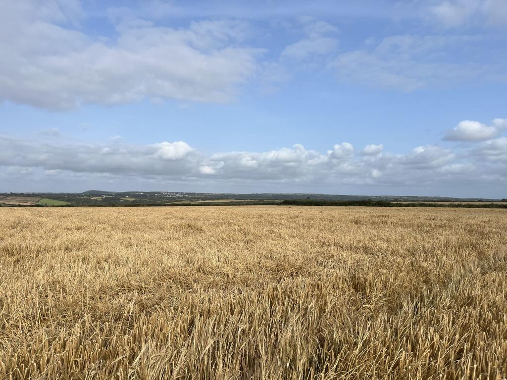 Connor Downs, Hayle Land for sale - £100,000