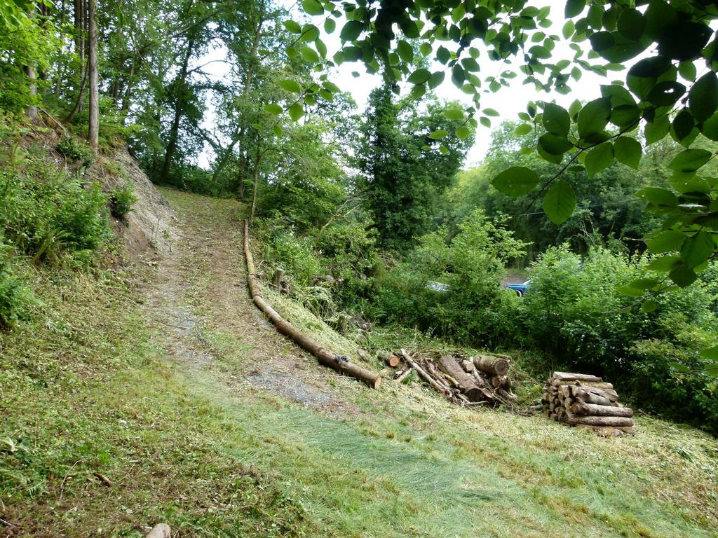 Coed Mawreddog, Cwmdwr SA19 Woodland for sale - £59,000