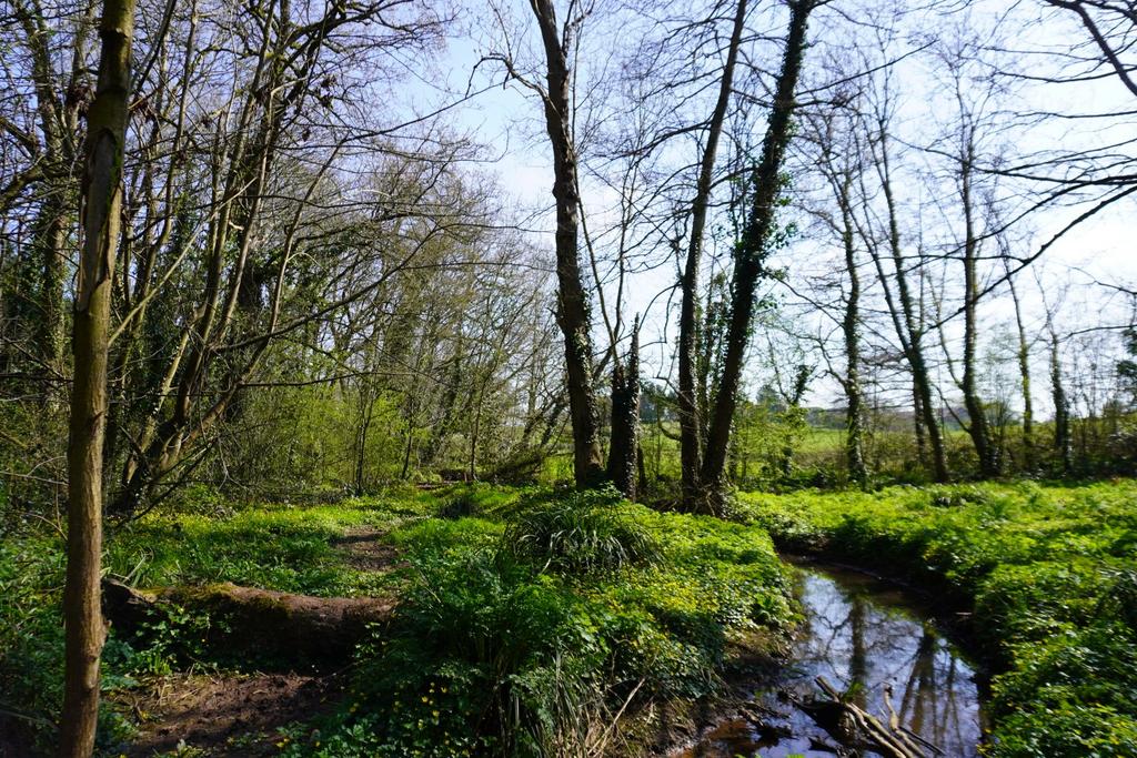 Mormons Wood, Sharpness, Berkeley GL13 Woodland - £30,000