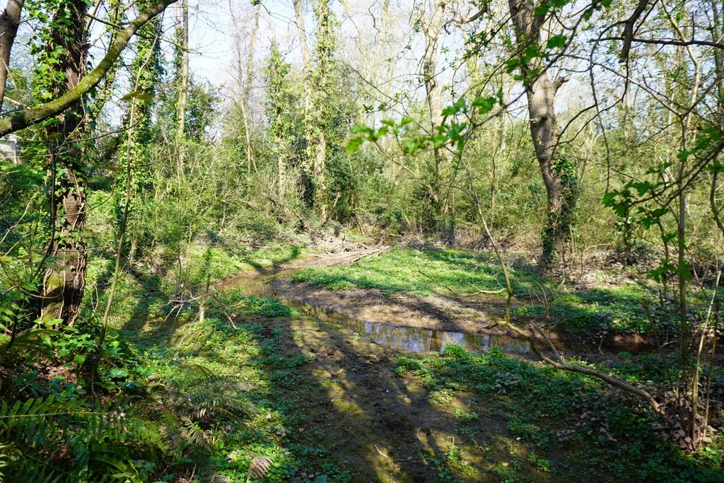 Mormons Wood, Sharpness, Berkeley GL13 Woodland - £30,000