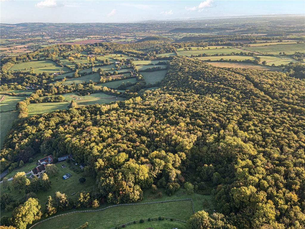 Blake's Copse and Whitford Copse... Land for sale - £200,000