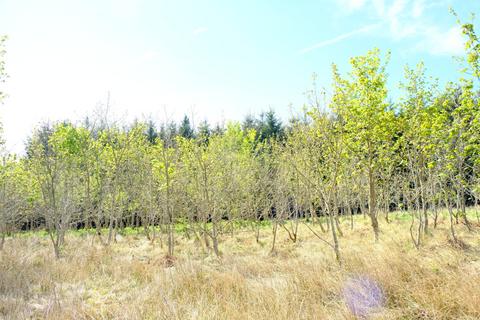 Woodlands For Sale In Scotland | OnTheMarket
