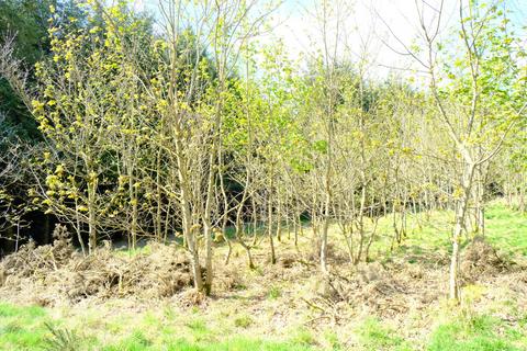 Woodlands For Sale In Scotland | OnTheMarket