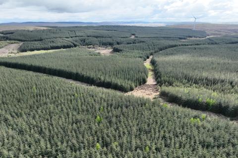 Woodlands For Sale In Scotland | OnTheMarket