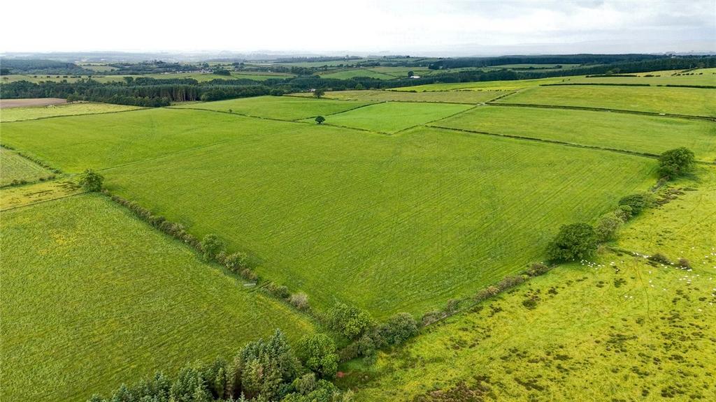 Lot 1 Harelawhole Farm, Canonbie... Land for sale - £865,000
