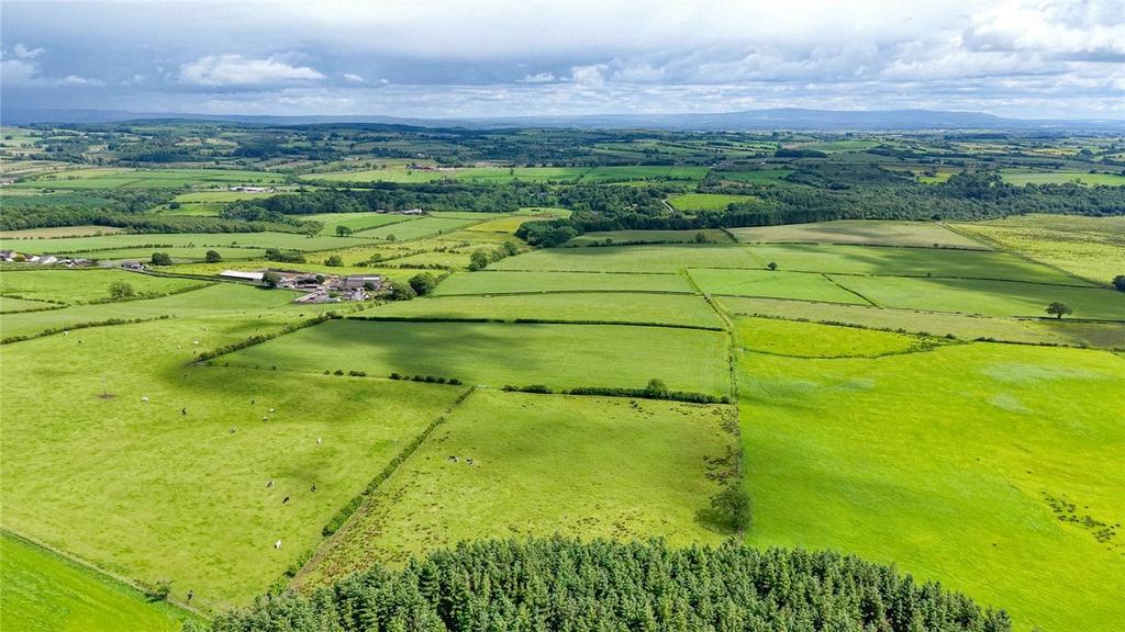 Lot 1 Harelawhole Farm, Canonbie... Land for sale - £865,000