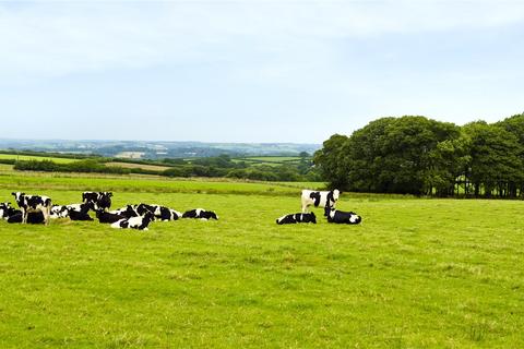 Search Farms & Land For Sale In Devon | OnTheMarket