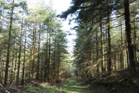 Search Farms & Land For Sale In Cornwall | OnTheMarket