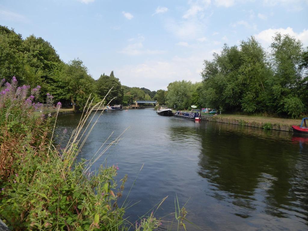 Main Street, Sprotbrough, DN5 1 bed cottage to rent - £895 pcm (£207 pw)