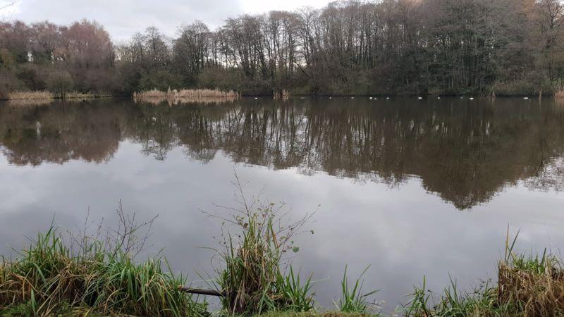 The Moat, Moston, Sandbach Property - £100,000